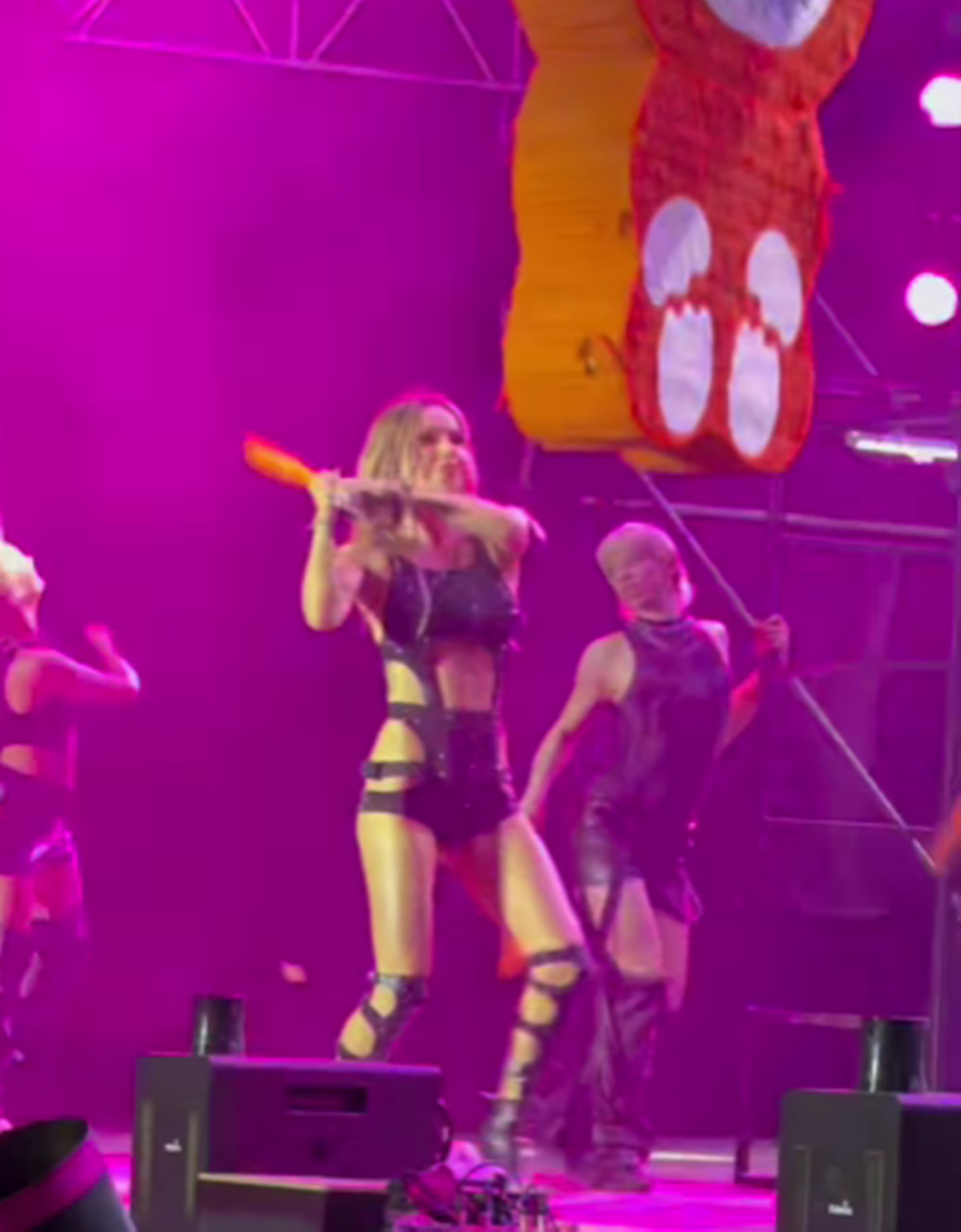 Doda zniszczyła Labubu podczas koncertu! [VIDEO] tocelebryci.pl